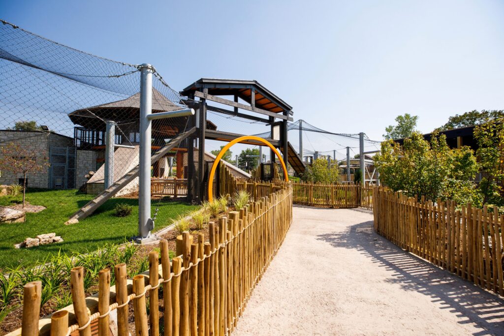 Virtual Tour of Asian Big Cat Trek at the Sedgwick County Zoo | Tessere